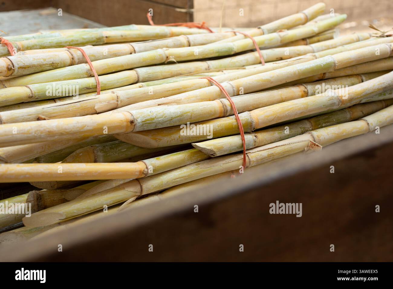 A view of piles of sugar cane on a flatbed truck Stock Photo - Alamy