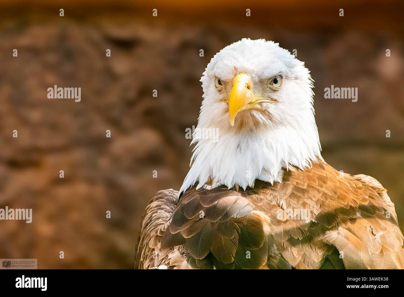 American symbol of freedom hi-res stock photography and images - Alamy