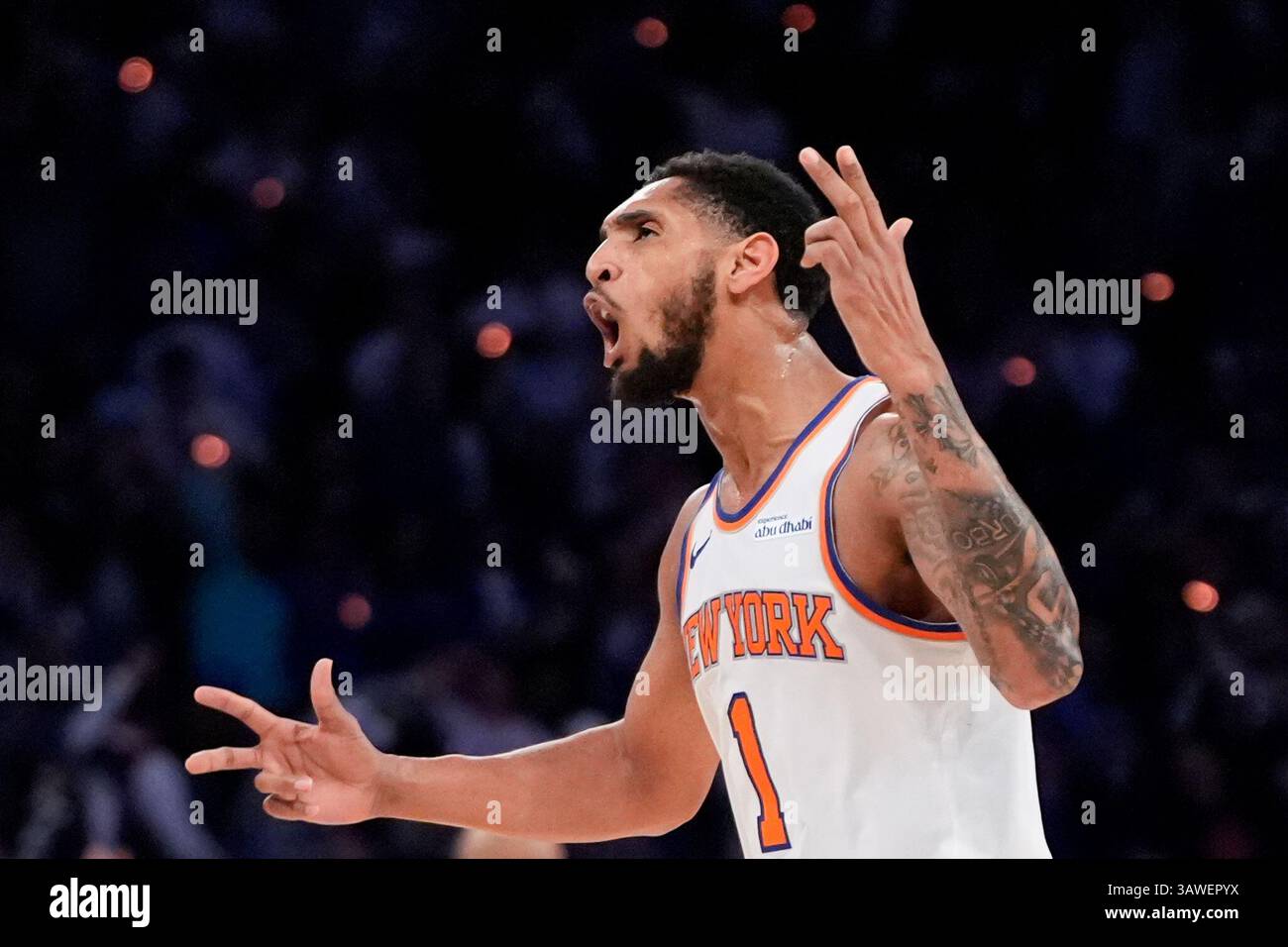 New York Knicks guard Cameron Payne reacts during the second half of ...