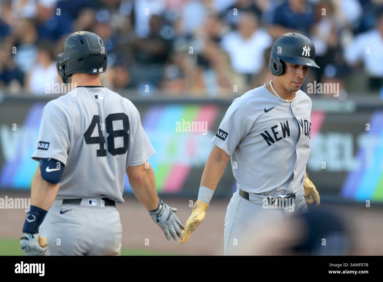 TAMPA, FL - APRIL 19: New York Yankees Infielder Paul Goldschmidt (48 ...