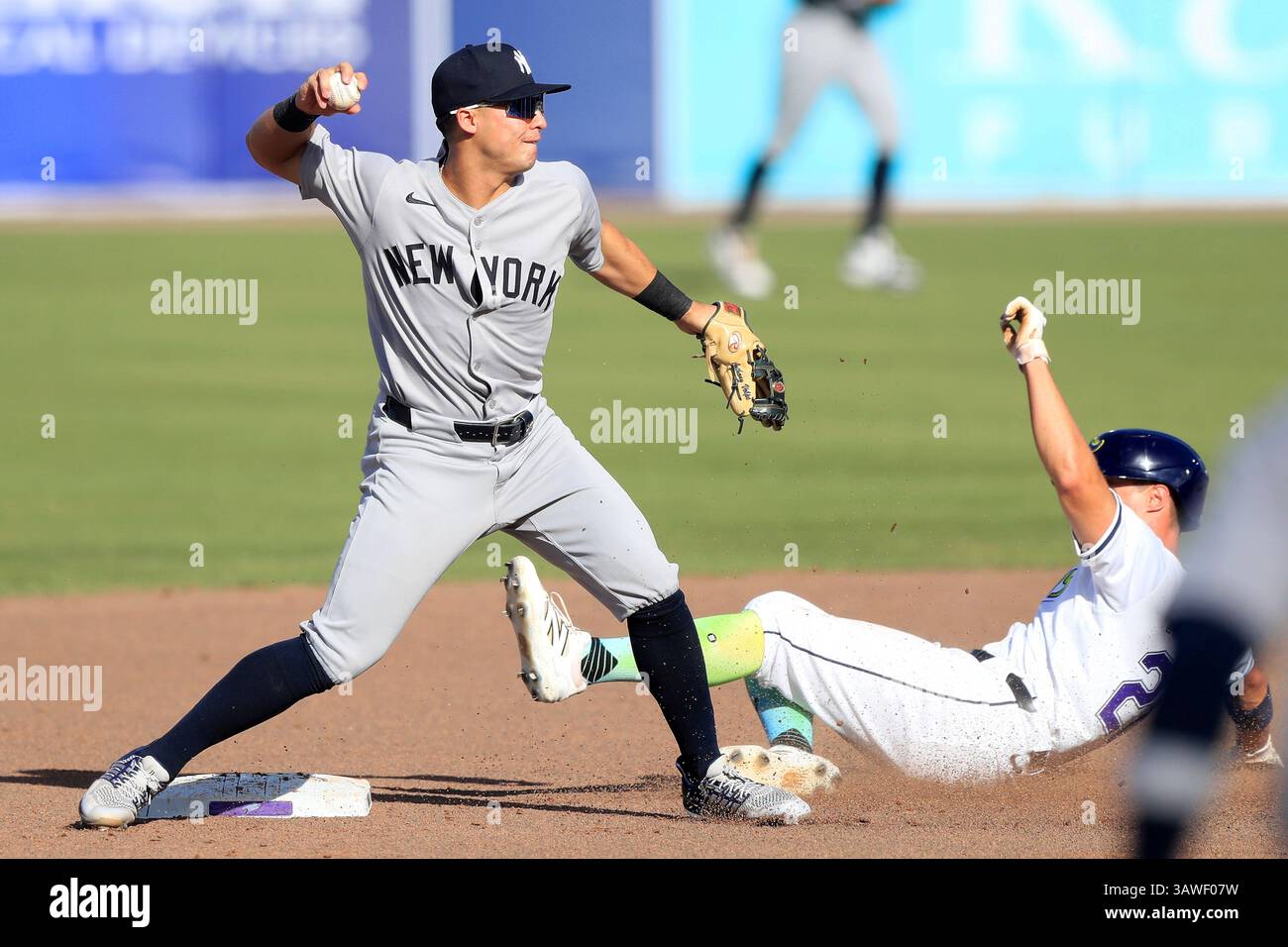 TAMPA, FL - APRIL 19: New York Yankees Infielder Anthony Volpe (11 ...