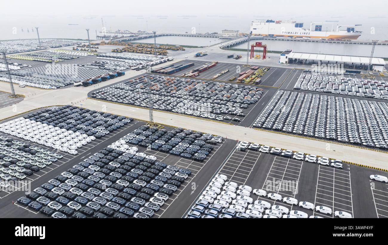 New passenger cars wait for shipment to South Africa in a port in ...