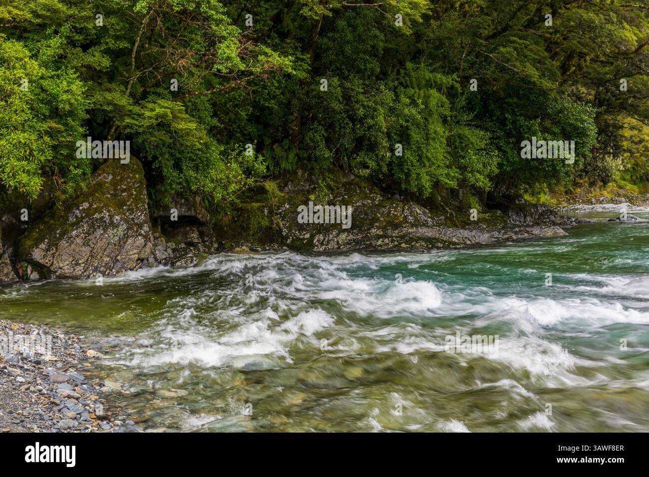 The beautiful Makarora River at the Blue pools walking track in South ...