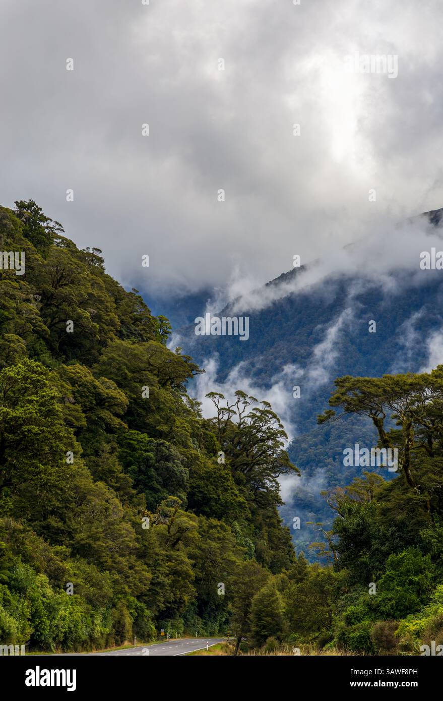 The beautiful Makarora River at the Blue pools walking track in South ...