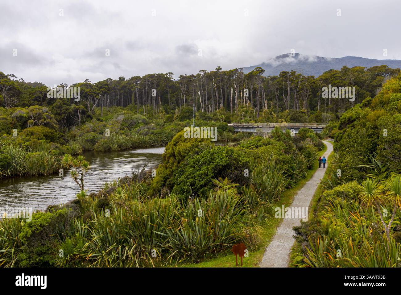 Scenic Landscape on Knight's Point Lookout. Ocean shore. South Island ...