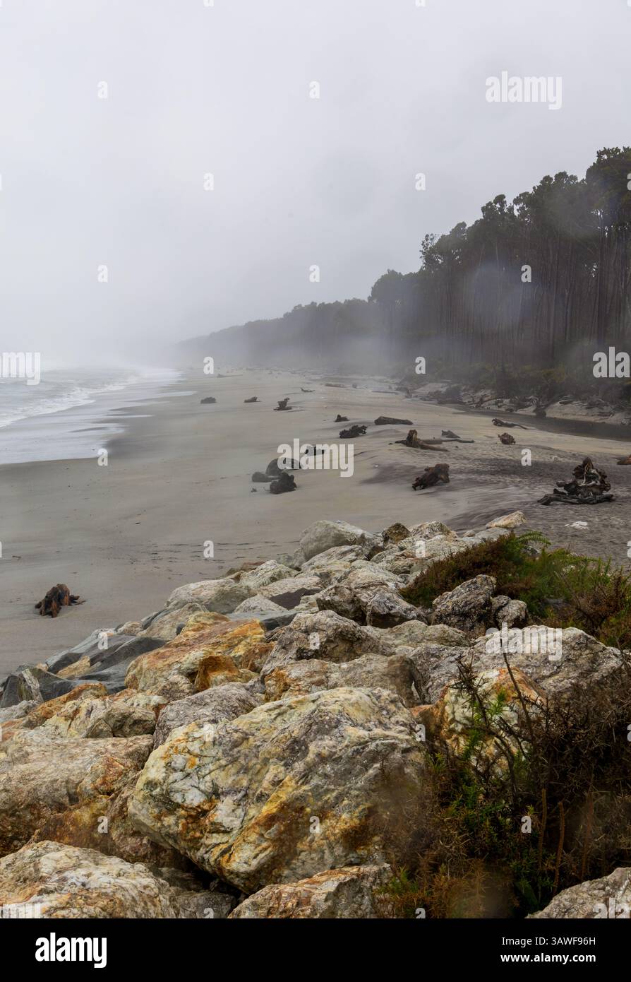 Scenic Landscape on Knight's Point Lookout. Ocean shore. South Island ...