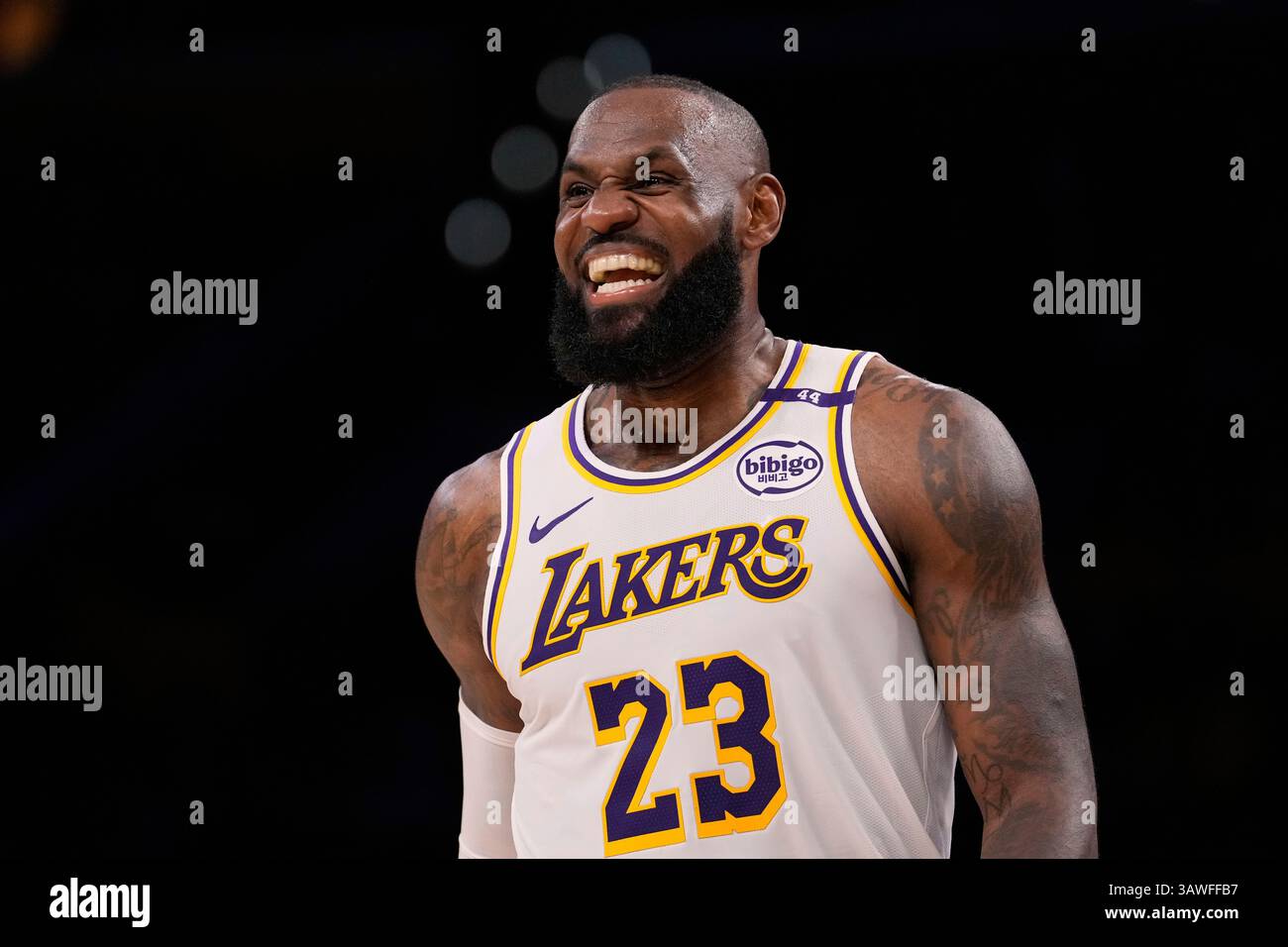 Los Angeles Lakers forward LeBron James smiles during the second half ...