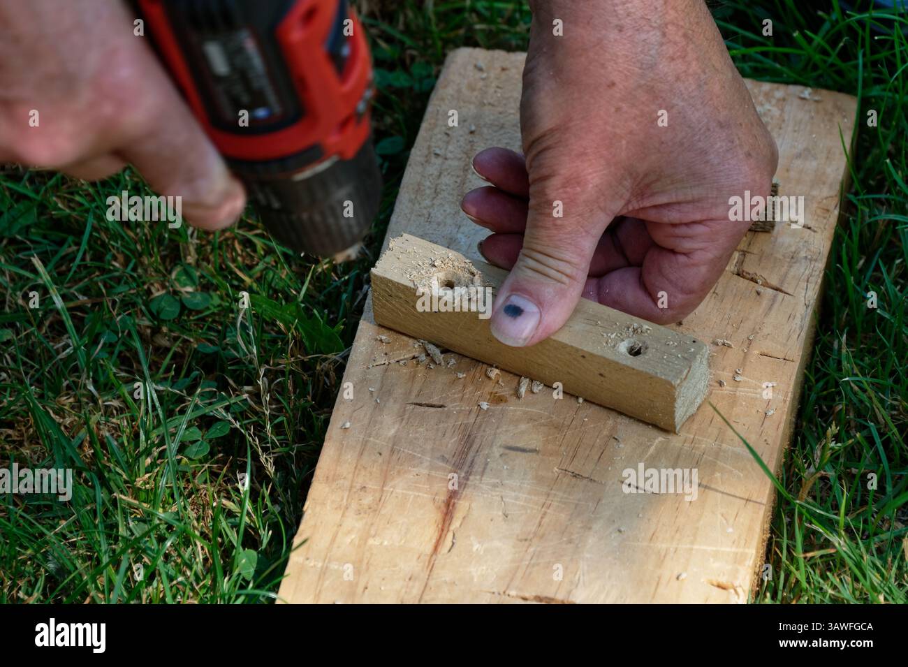Screw countersunk holes hi-res stock photography and images - Alamy