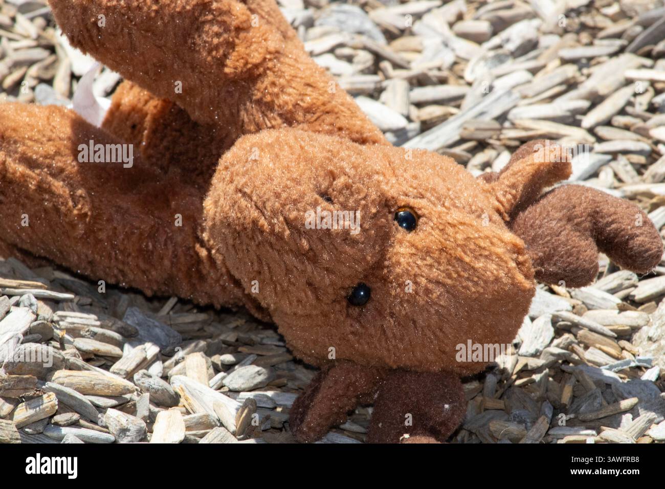 children's stuffed moose toy left on playground Stock Photo - Alamy