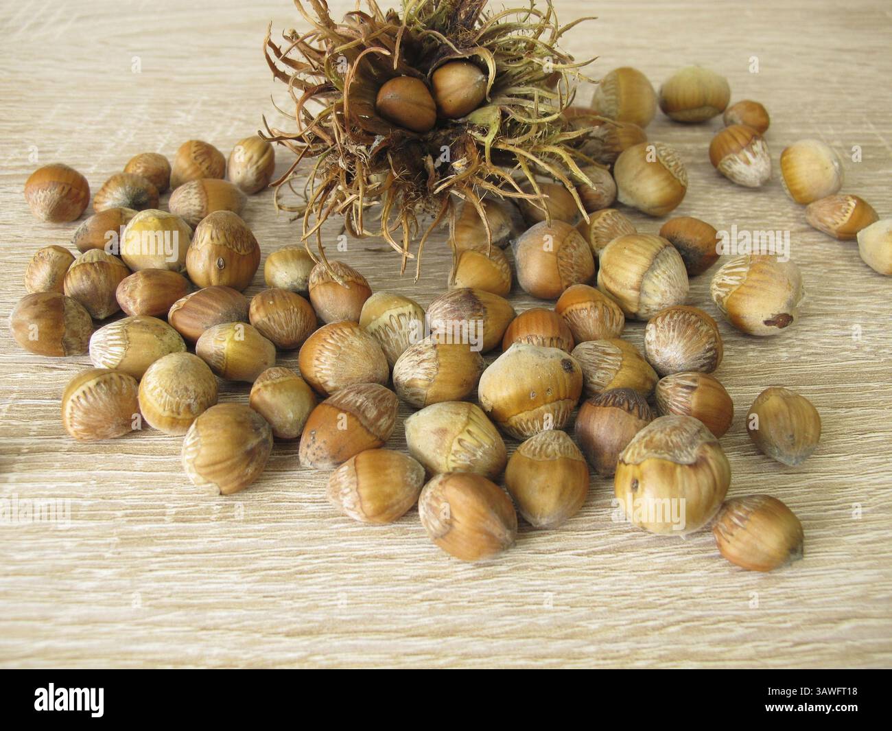 Hazelnuts from the tree hazel in the nutshell and a fruit stand Stock ...