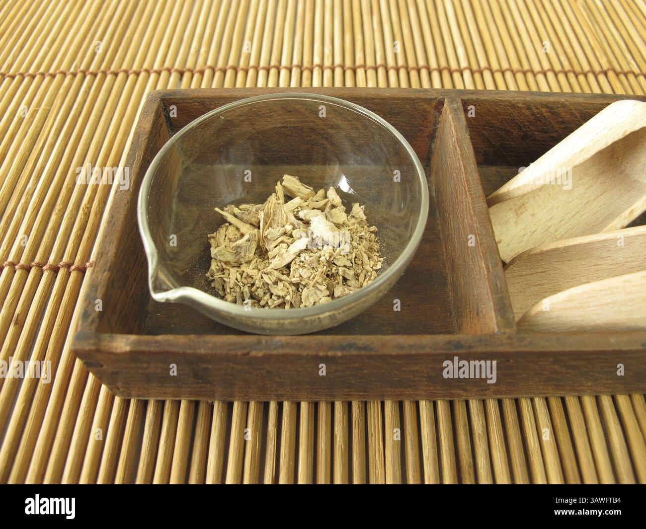 Kava kava rootstock, kava kava rhizoma Stock Photo - Alamy