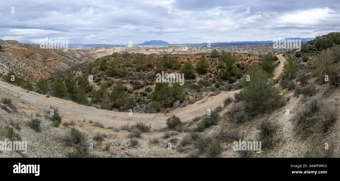 Wide hilly desert landscape with dry vegetation, Gorafe desert, semi ...
