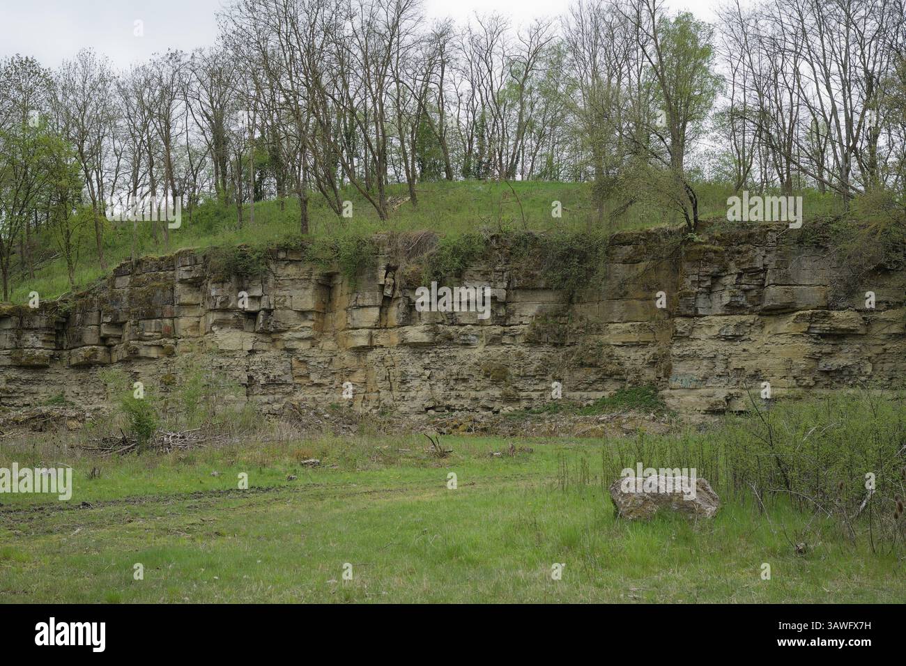 Disused shell limestone outcrop, quarry, geo-shell limestone, biotope ...