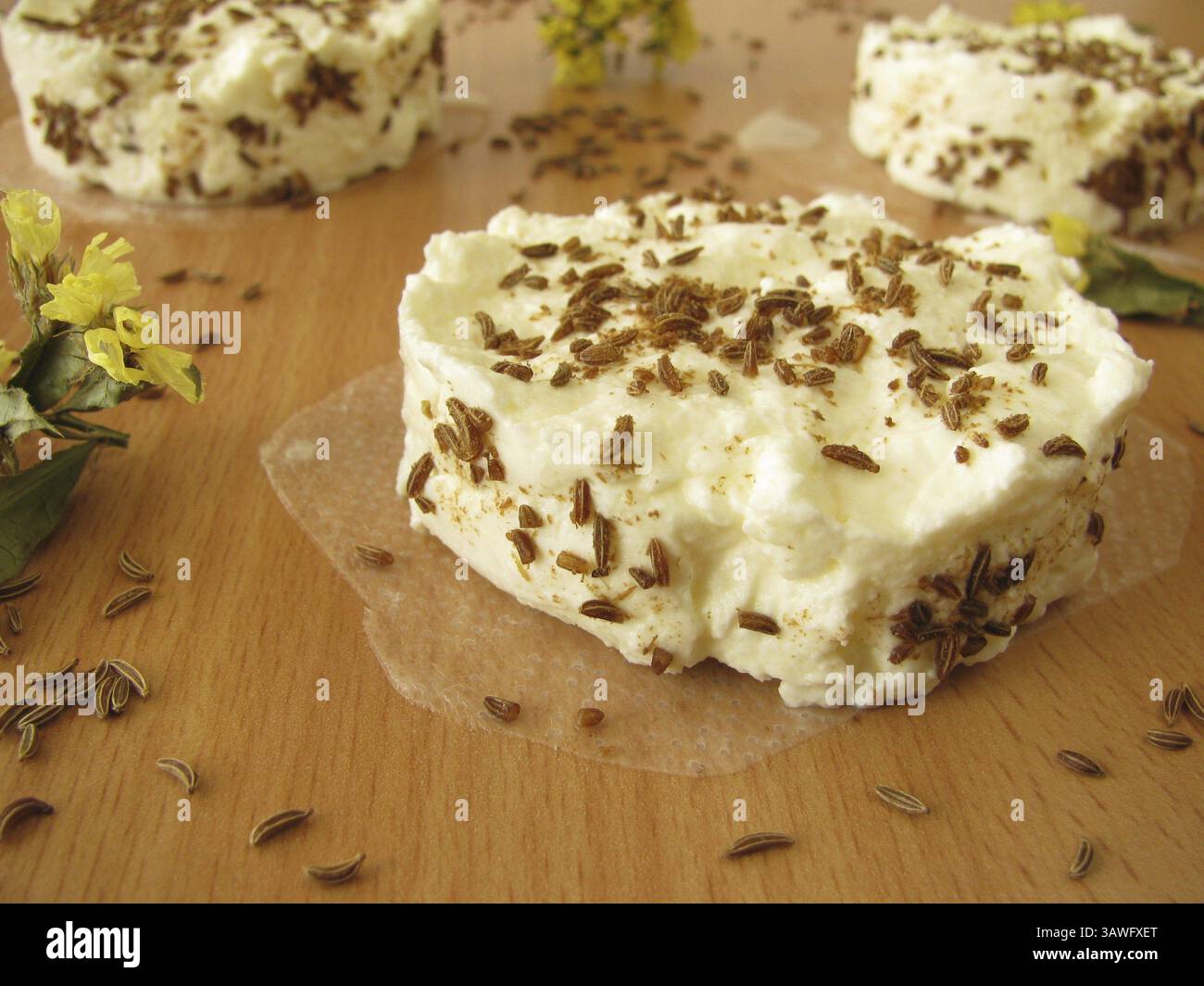 Homemade caraway cheese Stock Photo - Alamy