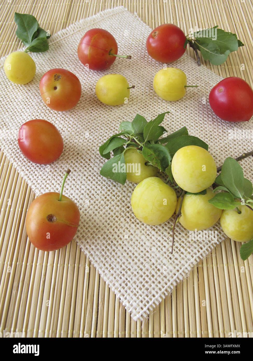 Red and yellow cherry plums Stock Photo - Alamy