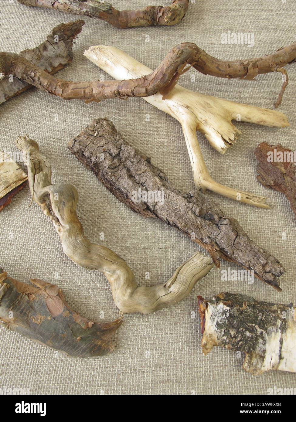 Root wood and bark for crafting Stock Photo - Alamy