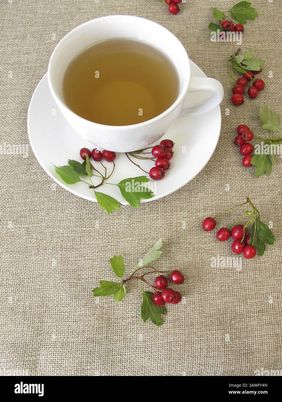 Herbal tea with hawthorn Stock Photo - Alamy