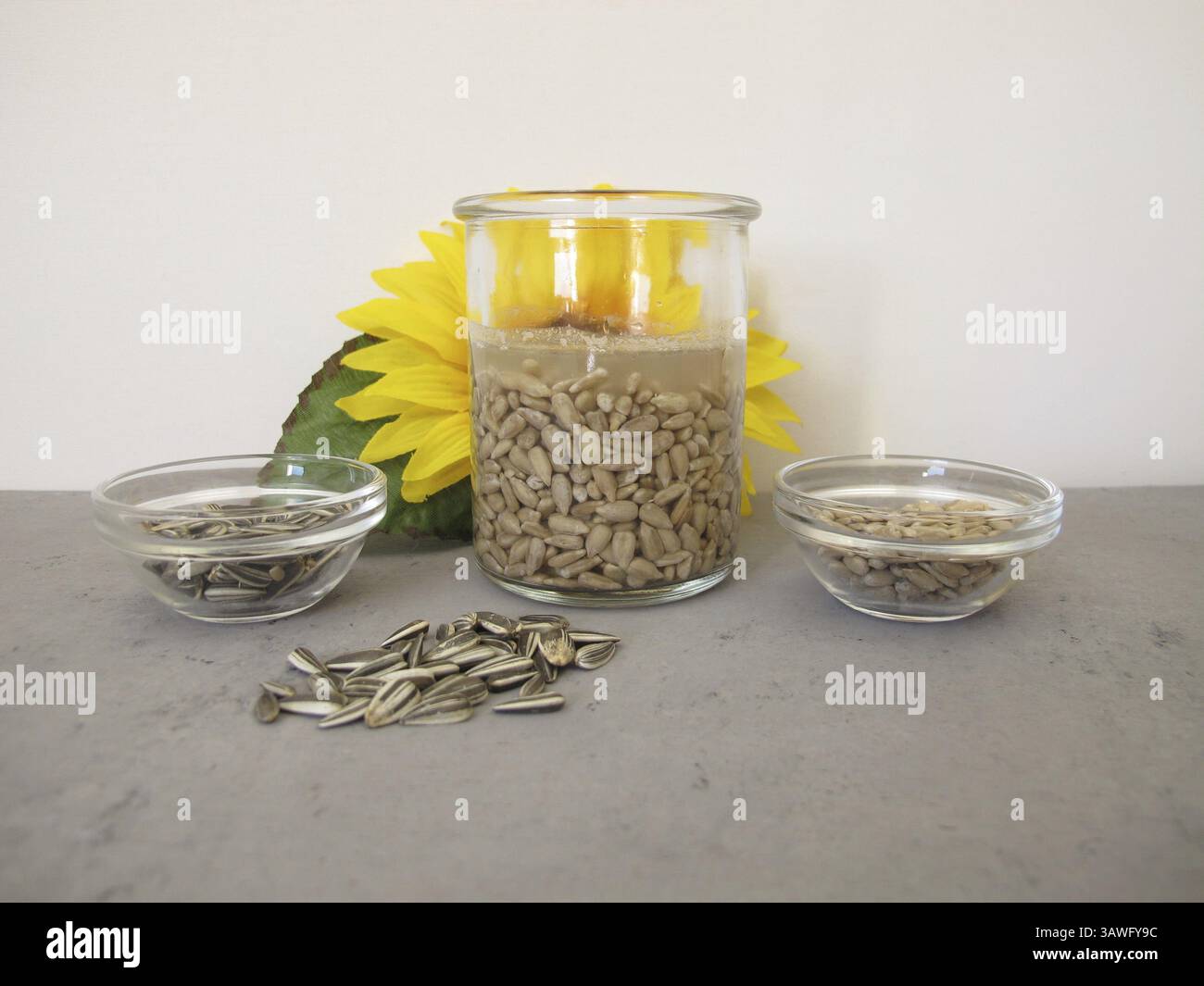 Soaked sunflower seeds, seeds from the sunflower in water Stock Photo ...
