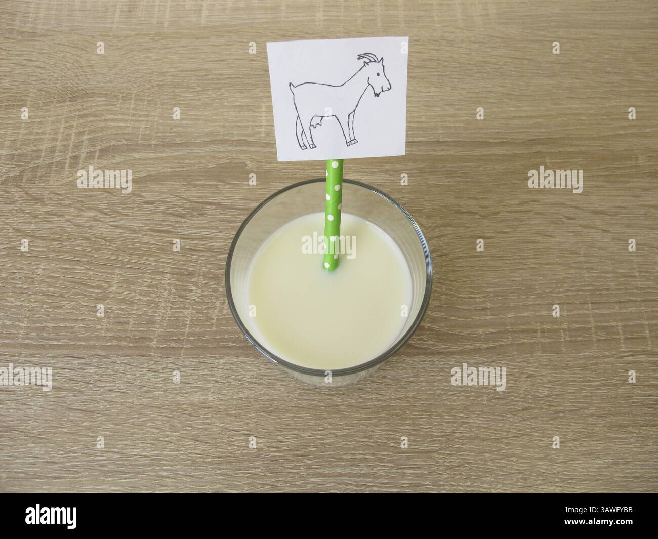 One goat drinking milk hi-res stock photography and images - Alamy