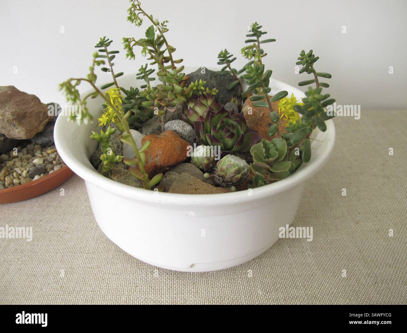Broken pot garden hi-res stock photography and images - Alamy