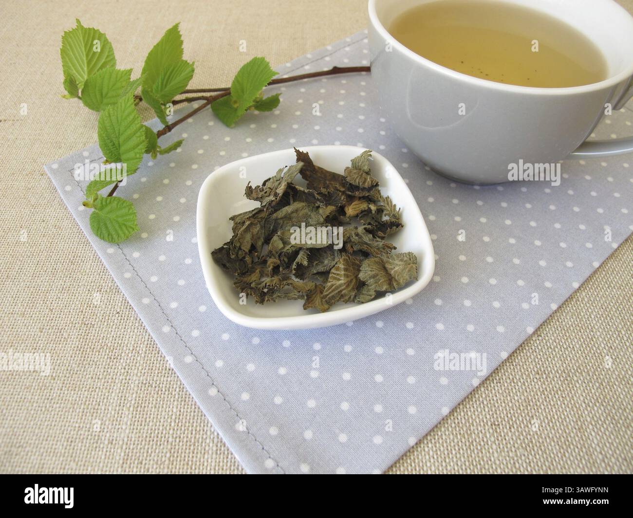 Domestic black tea with fermented hazelnut leaves Stock Photo - Alamy