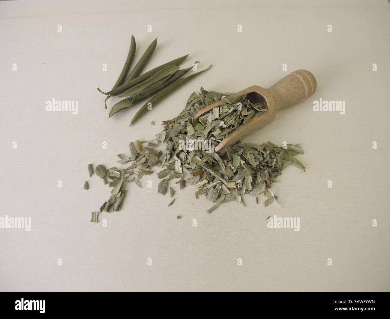 Dried and chopped olive leaves from the olive tree for olive leaf tea ...