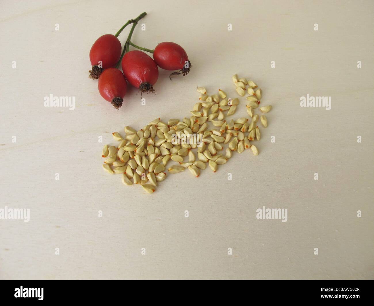 Rosehip seeds ? Seeds from the wild rose hip fruit Stock Photo - Alamy