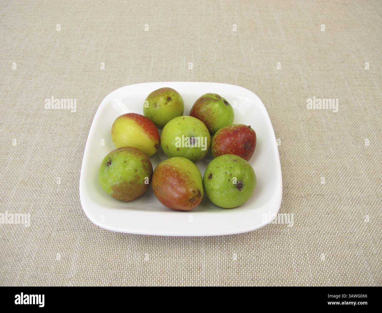 Apple fruit from the Speierling tree, Sorbus domestica Stock Photo - Alamy
