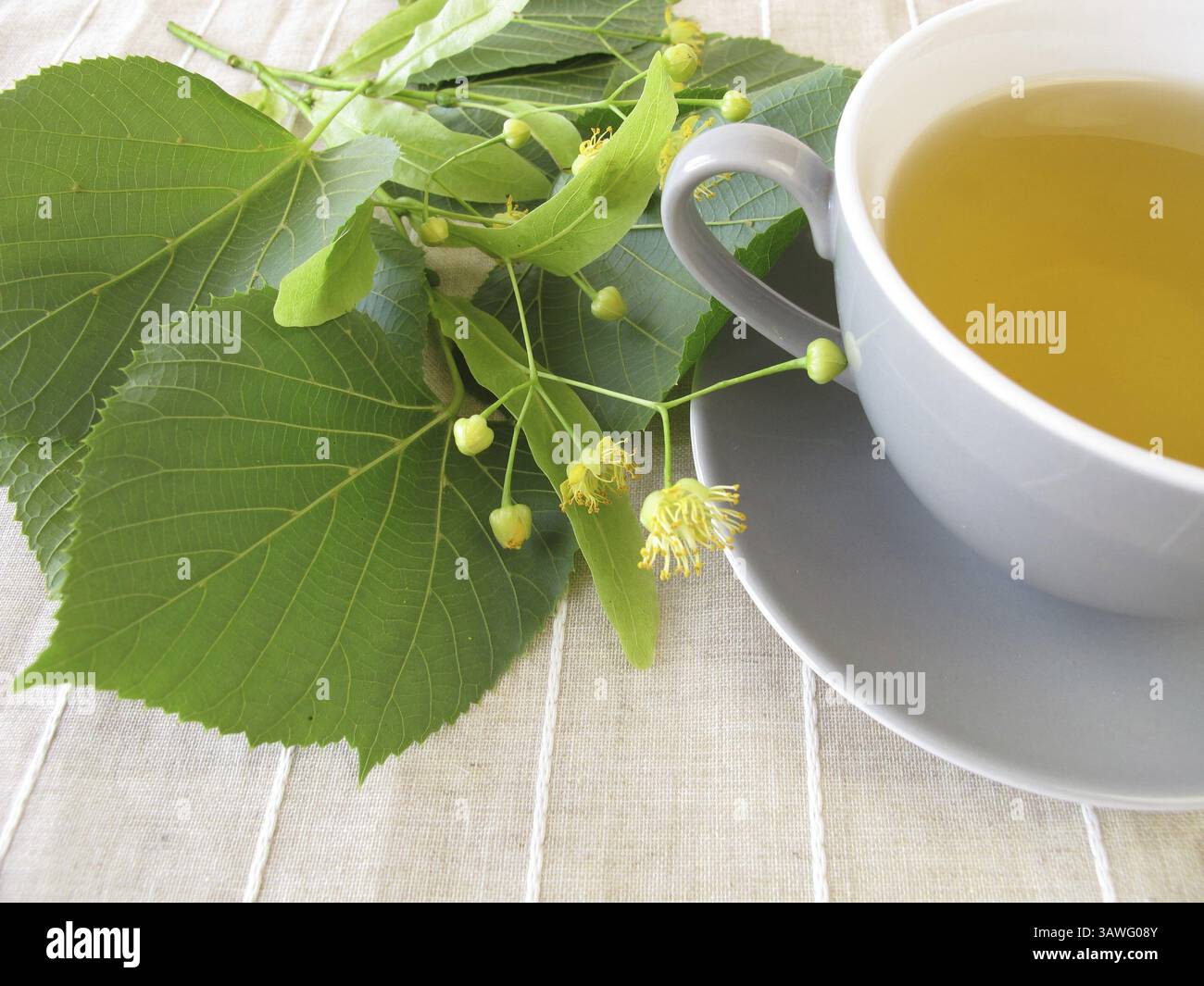Lime blossom tea Stock Photo - Alamy