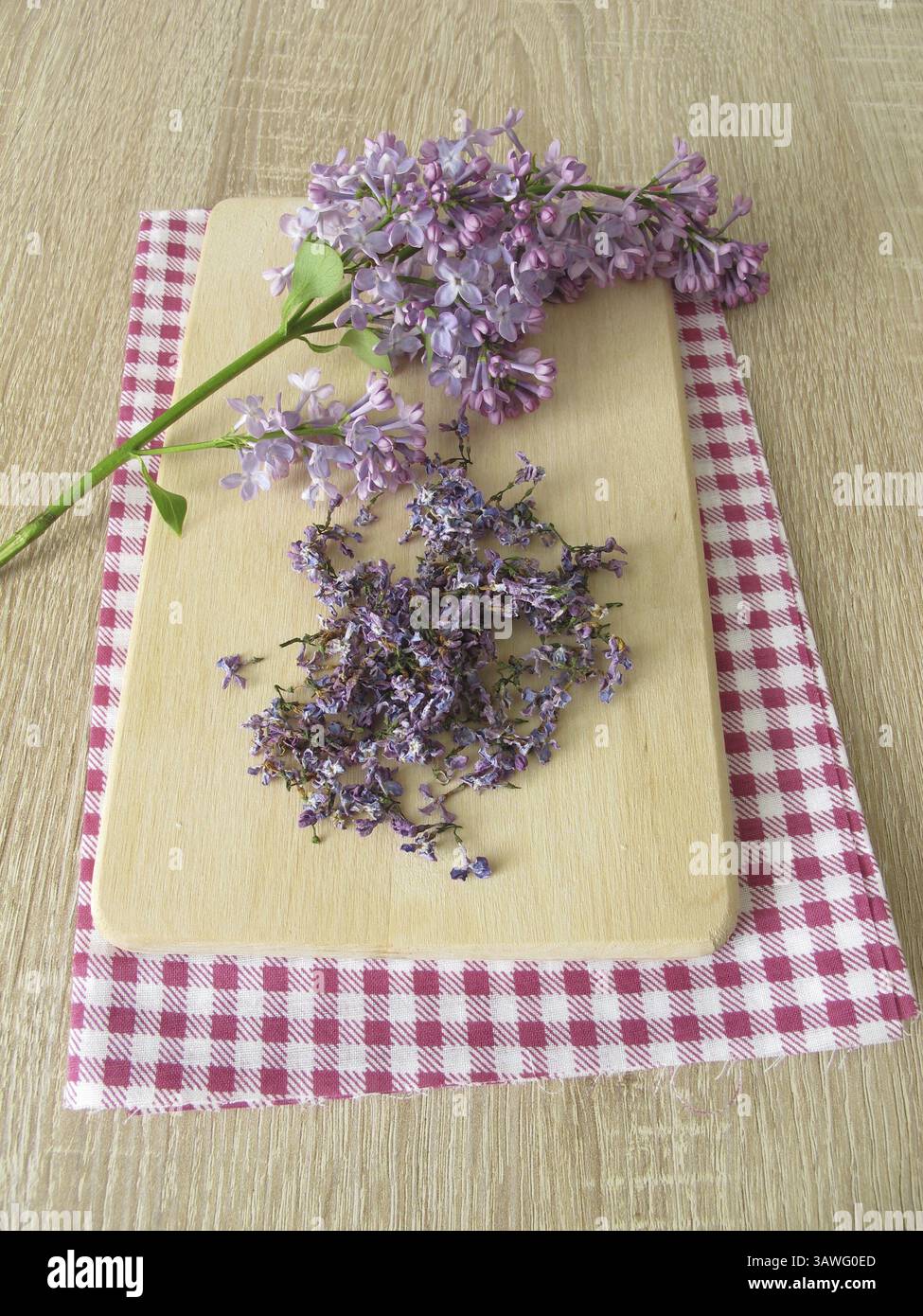 Dried lilac blossoms and a sprig of lilac Stock Photo - Alamy