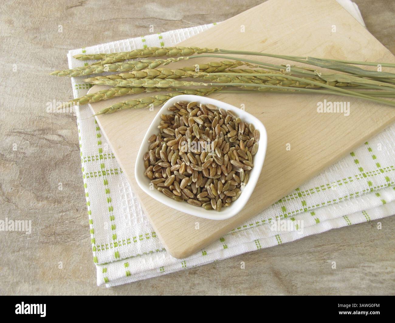 Green spelt and spelt ears Stock Photo - Alamy