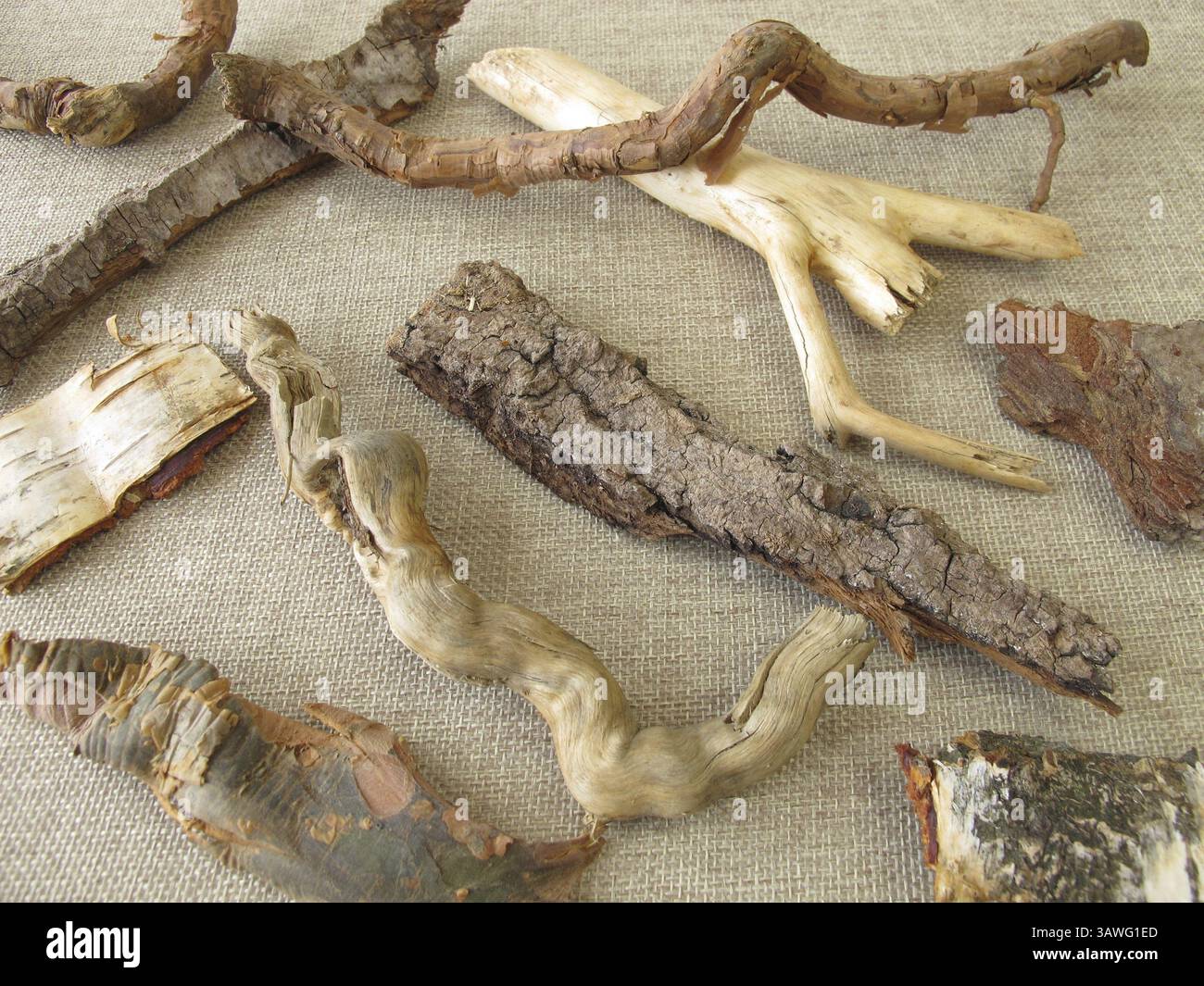 Root wood and bark for crafting Stock Photo - Alamy