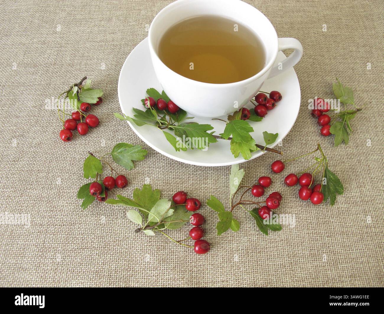 Herbal tea with hawthorn Stock Photo - Alamy