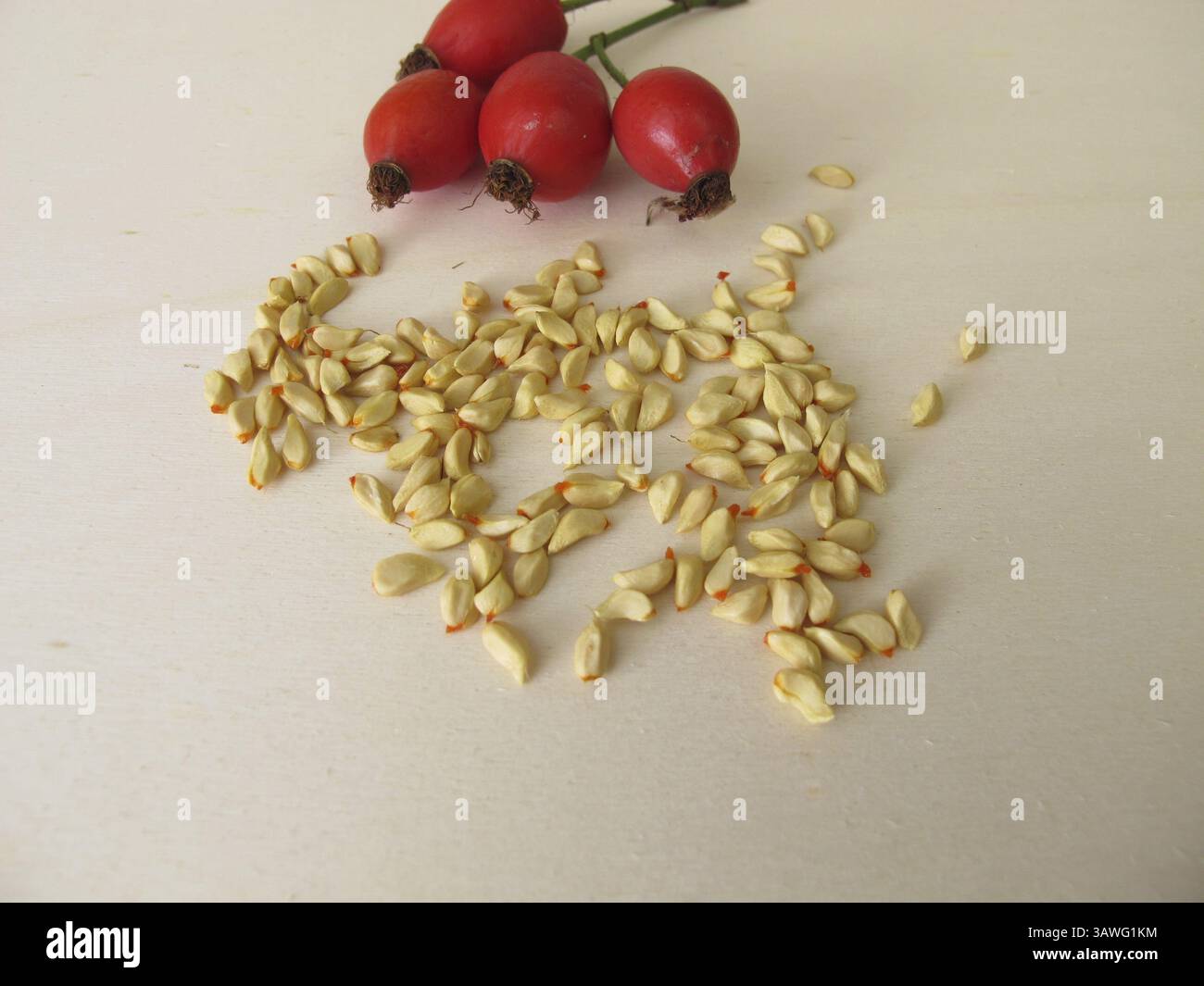 Rosehip seeds ? Seeds from the wild rose hip fruit Stock Photo - Alamy