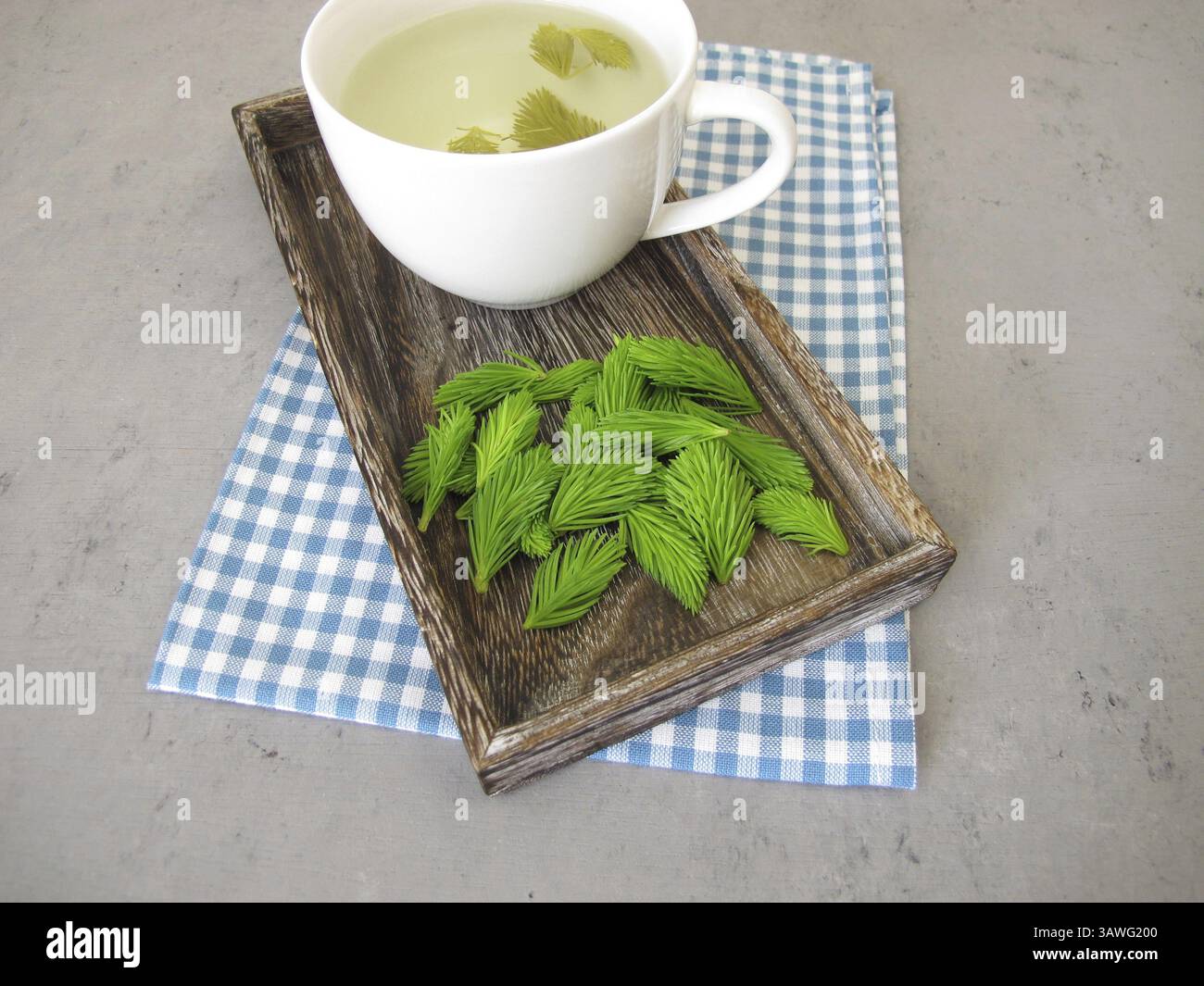Spruce tips tea, herbal tea from young May tops Stock Photo - Alamy
