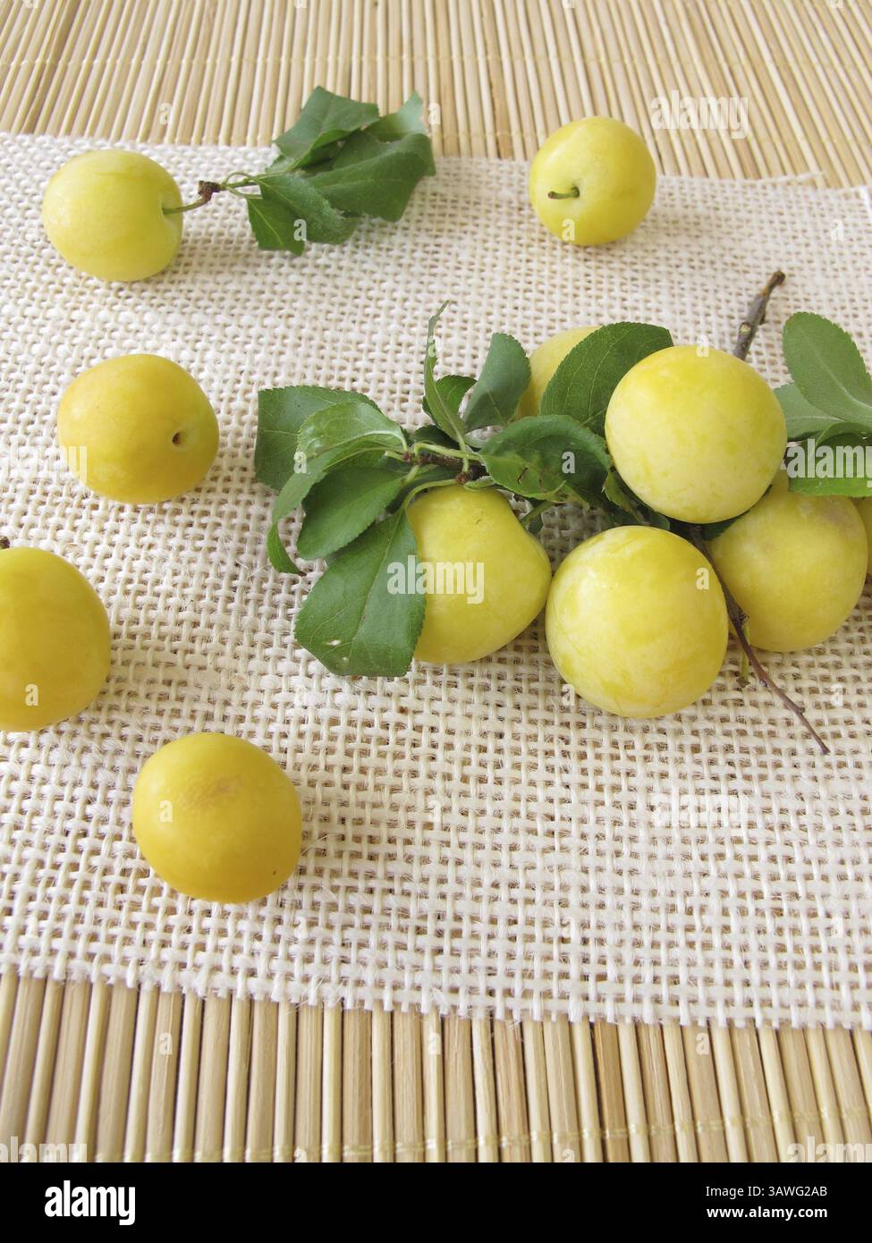 Mirabelle prune prunus domestica hi-res stock photography and images ...