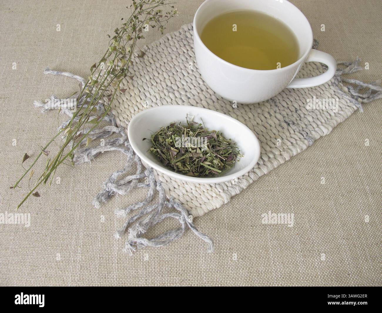 Shepherd's purse tea made from dried shepherd's purse herb Stock Photo ...