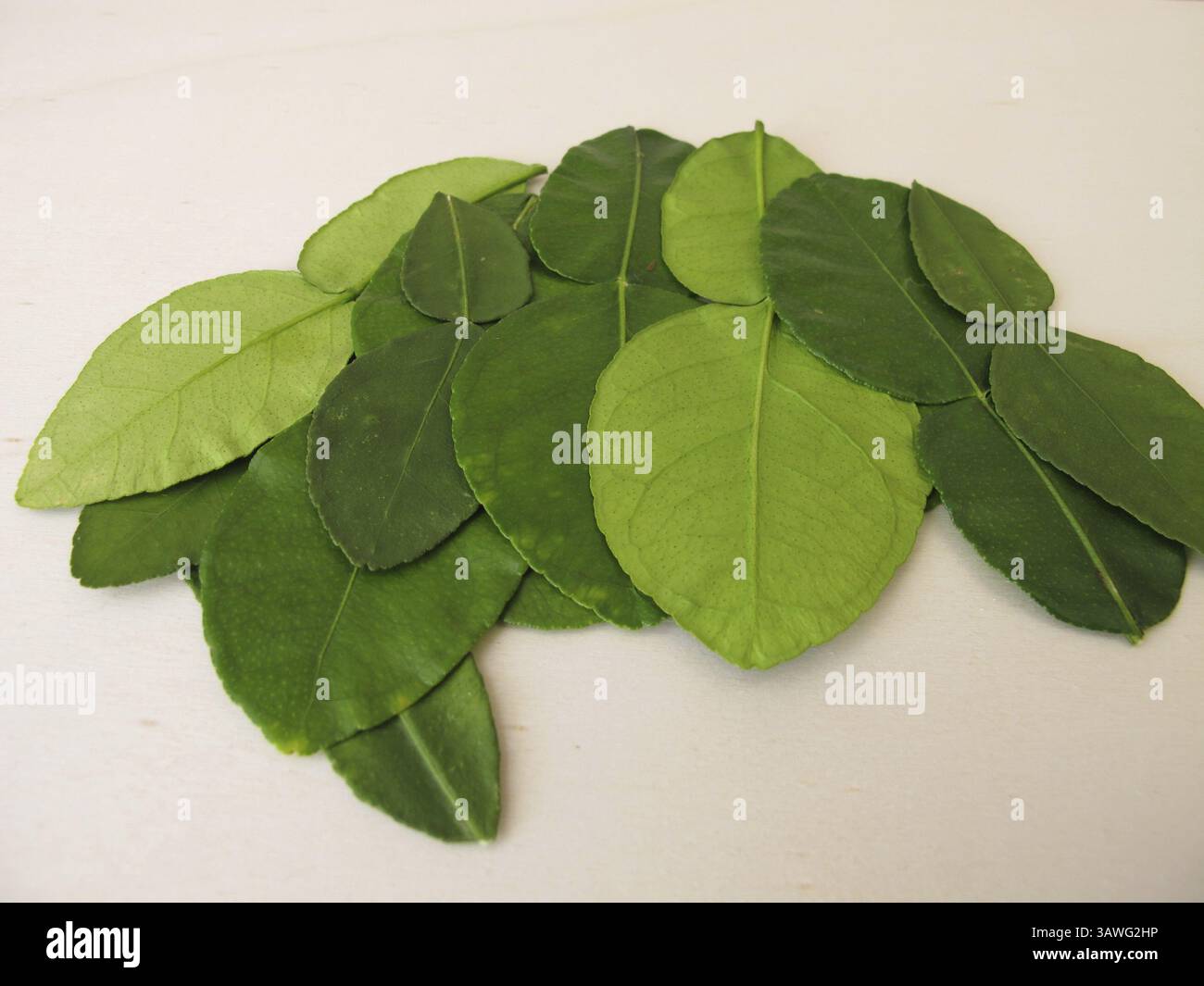 Fresh kaffir lime leaves Stock Photo - Alamy