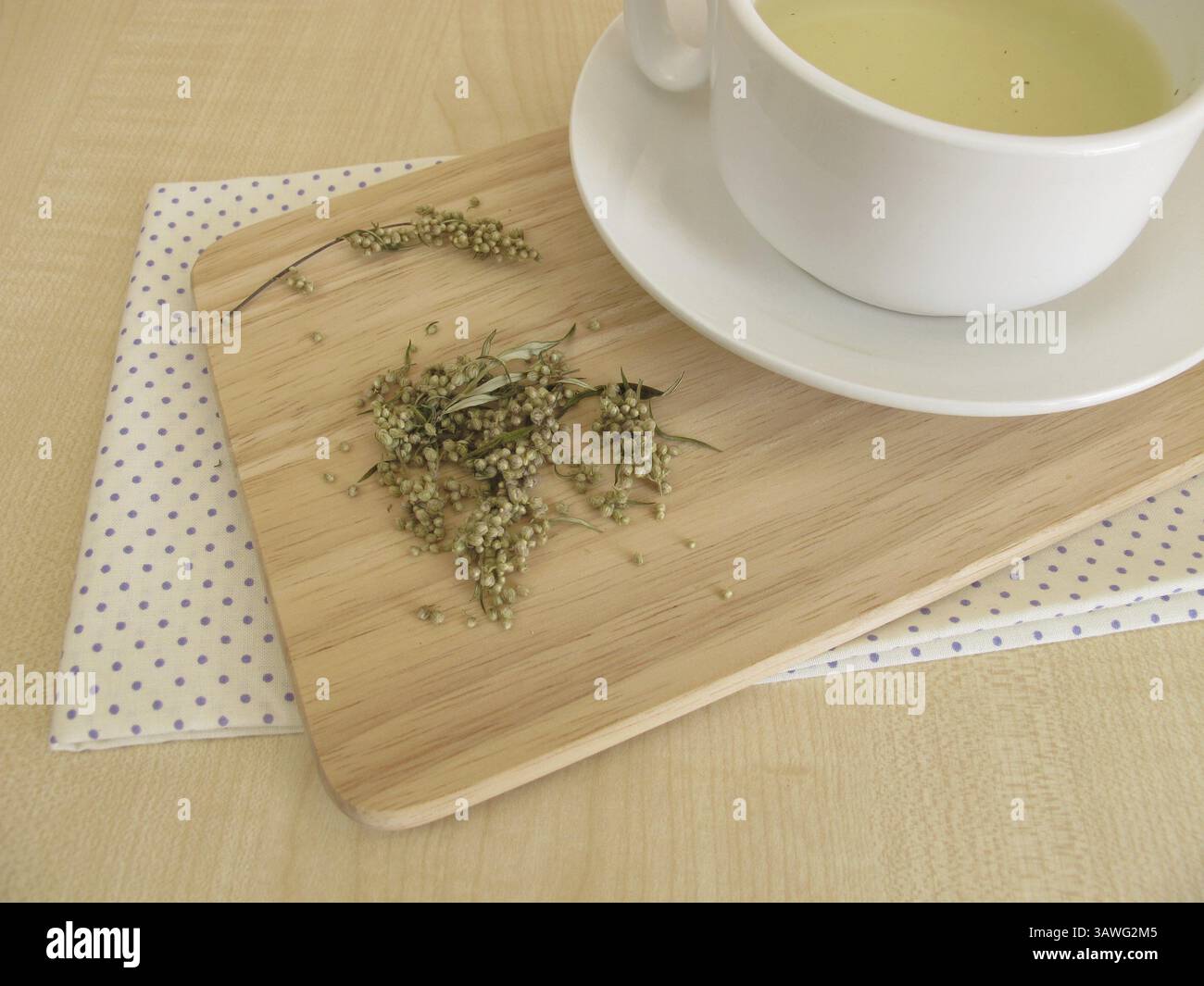 Absinthium artemisia mugwort vulgaris hi-res stock photography and ...