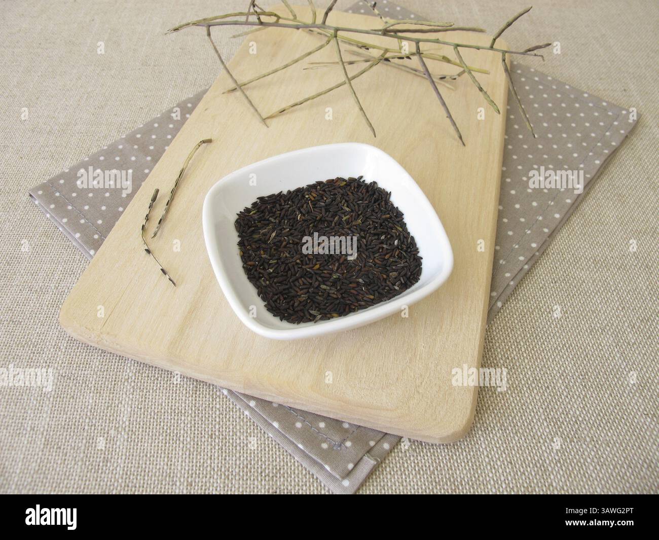 Garlic rocket seeds as a pungent spice Stock Photo - Alamy