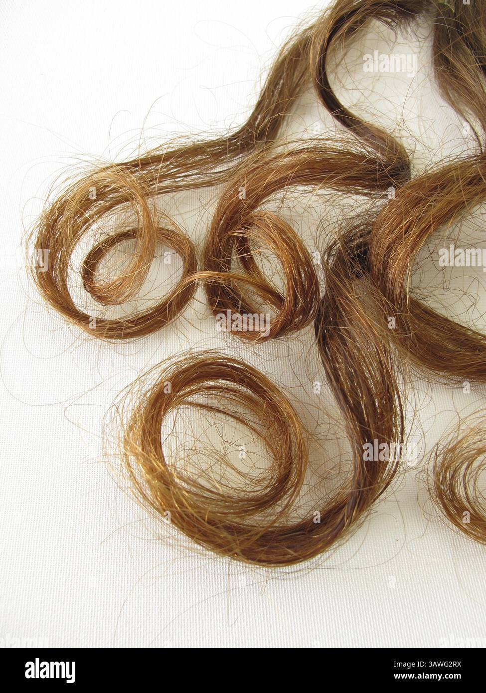 Long brown curls hi-res stock photography and images - Alamy