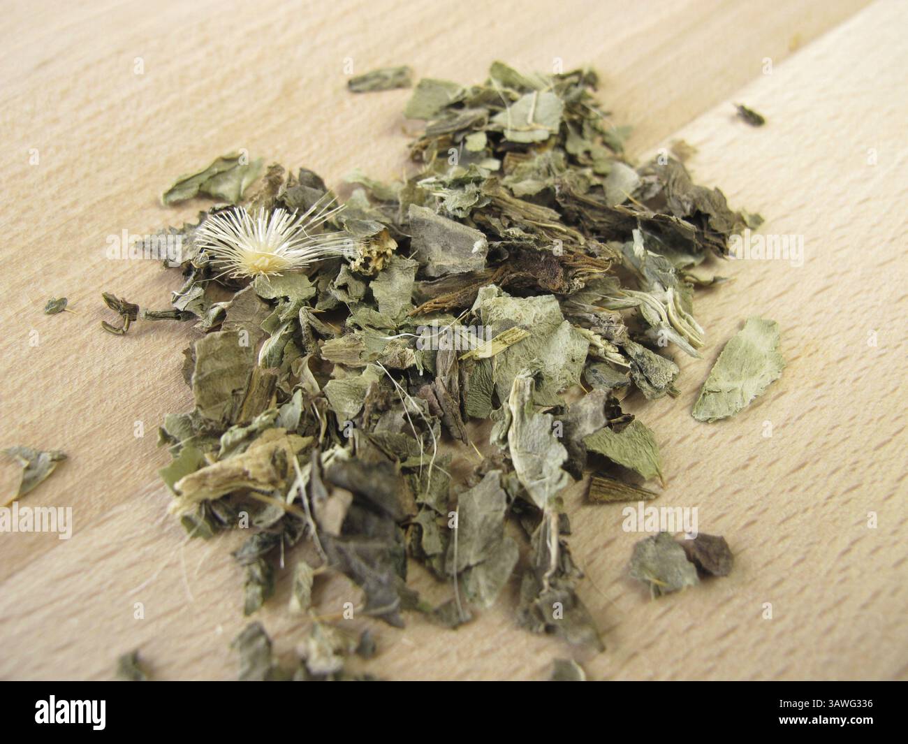 Milk thistle herb, Cardui mariae herba Stock Photo - Alamy