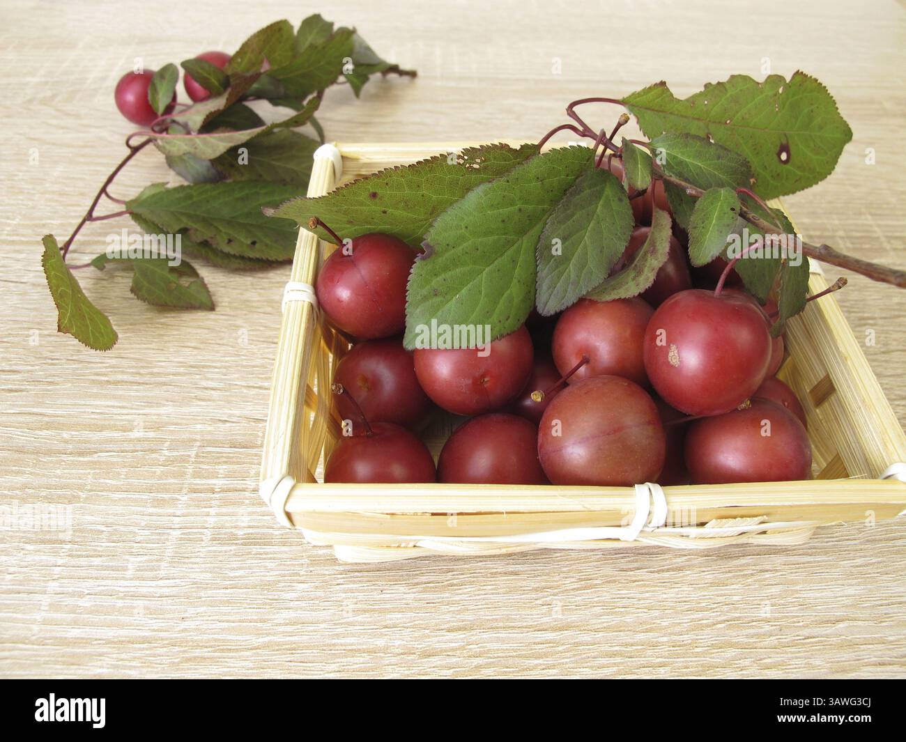 Blood plums, Prunus cerasifera, in a basket Stock Photo - Alamy
