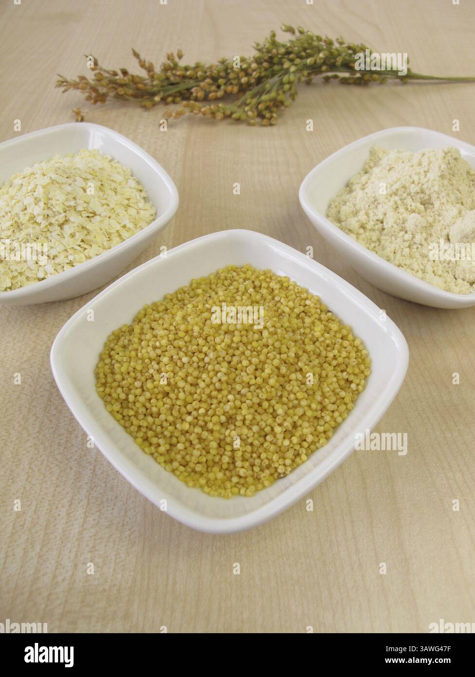 Millet grains, millet flakes and millet flour Stock Photo - Alamy