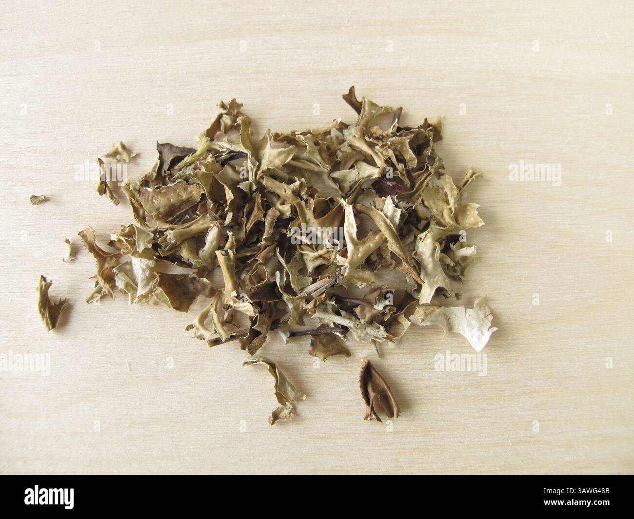 Iceland moss, Lichen islandicus Stock Photo - Alamy