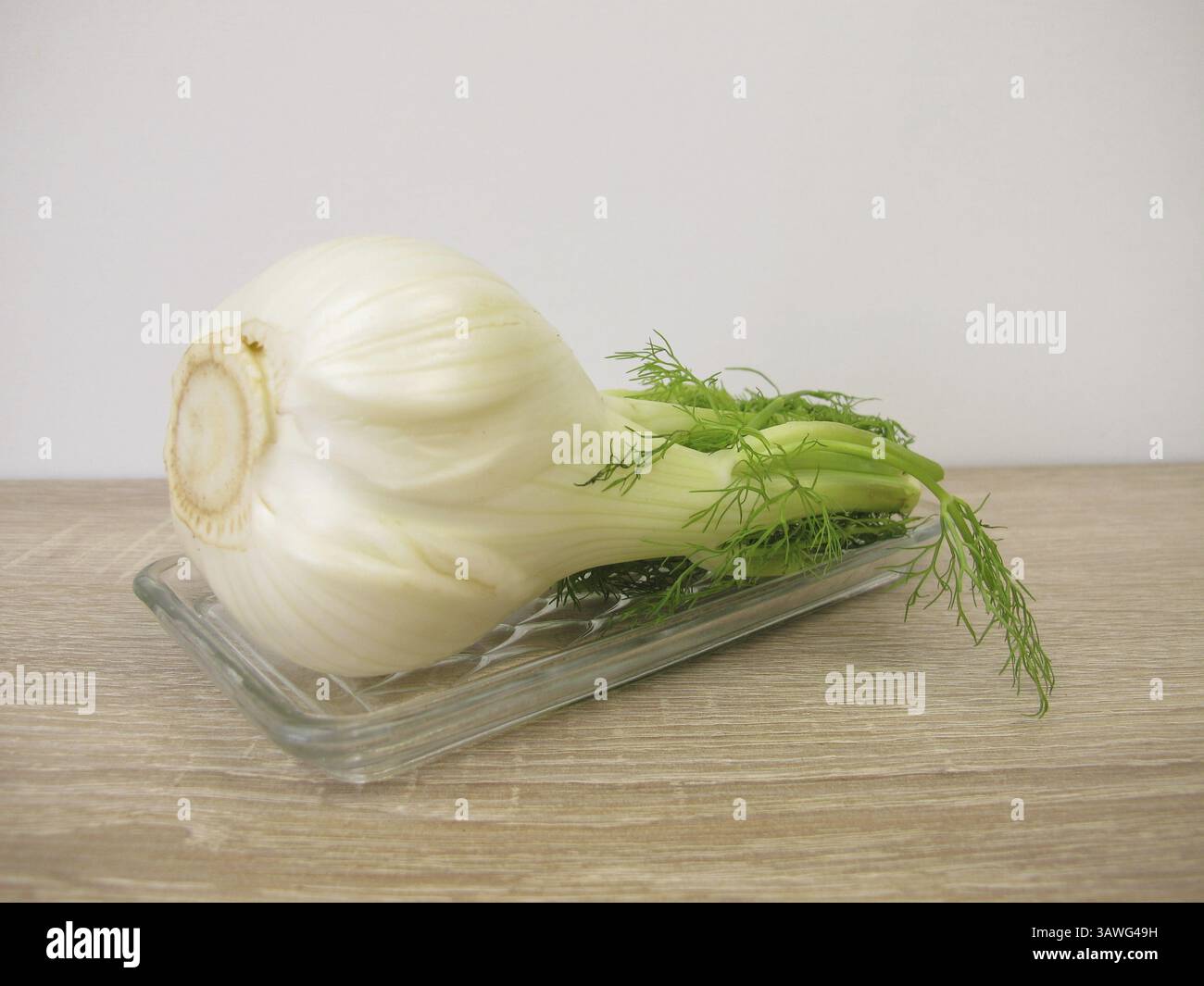 Fresh fennel bulb stem hi-res stock photography and images - Alamy