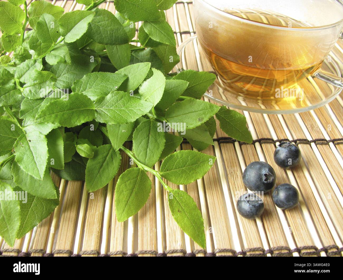 Blueberry leaf tea, blueberry leaf tea Stock Photo - Alamy