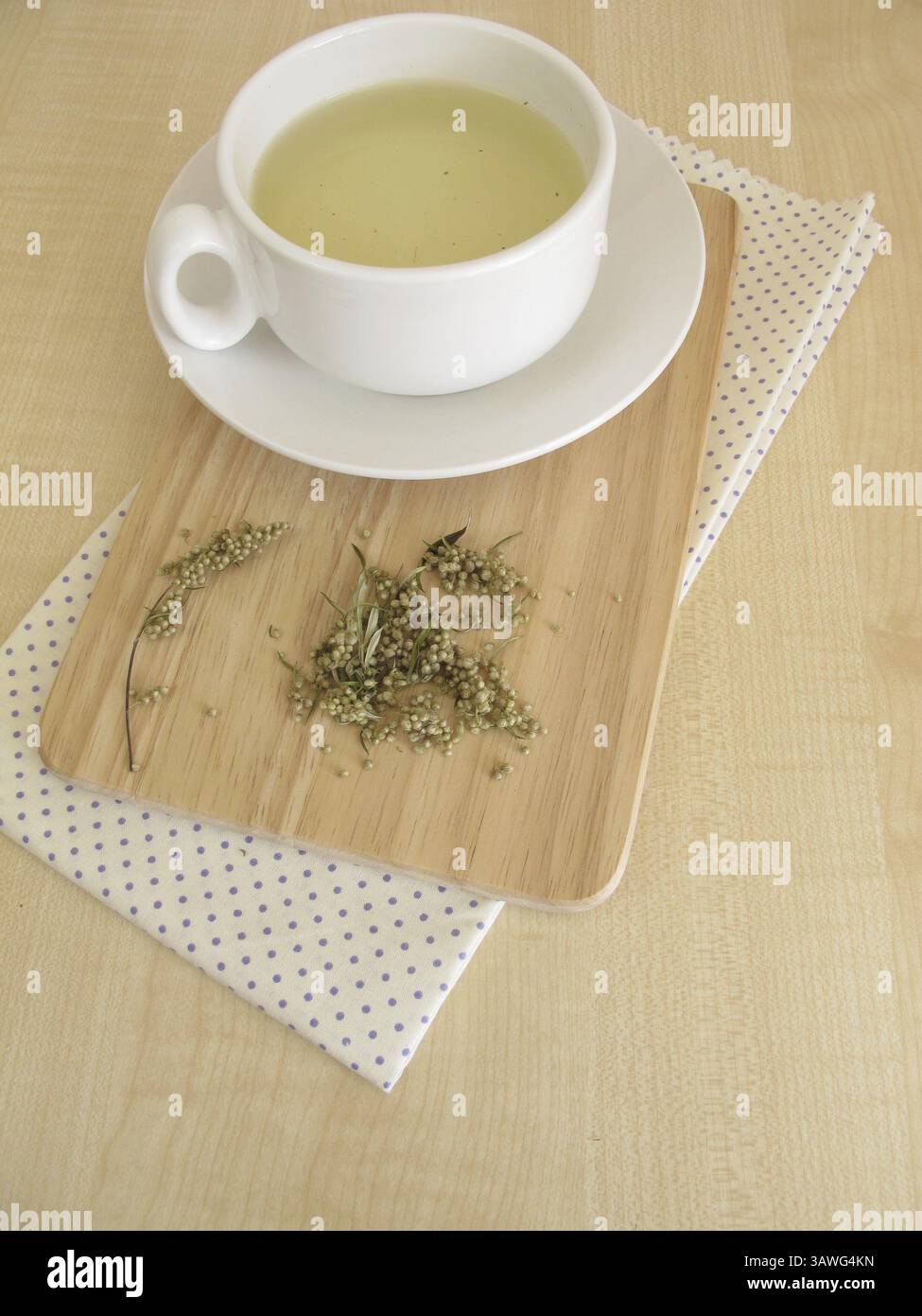 Absinthium artemisia mugwort vulgaris hi-res stock photography and ...