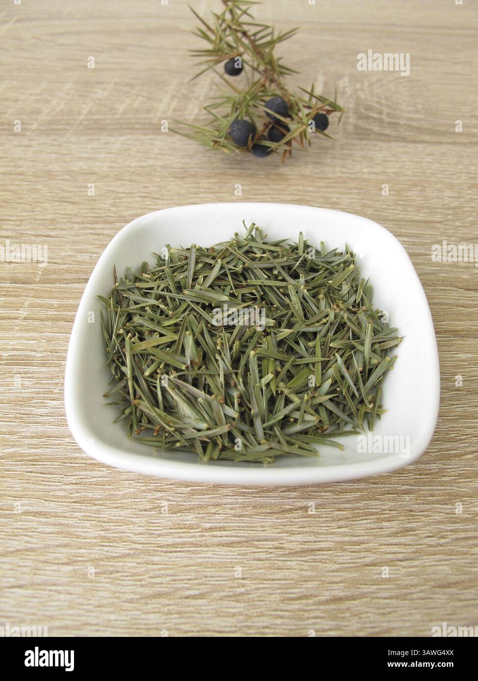 Juniper needle hi-res stock photography and images - Alamy