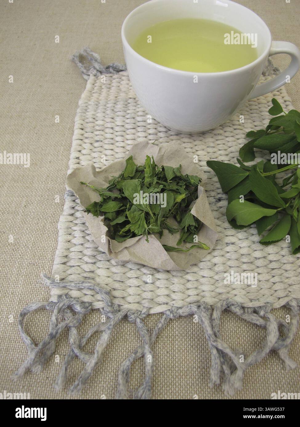 Alfalfa herbal tea made from dried alfalfa leaves hi-res stock ...